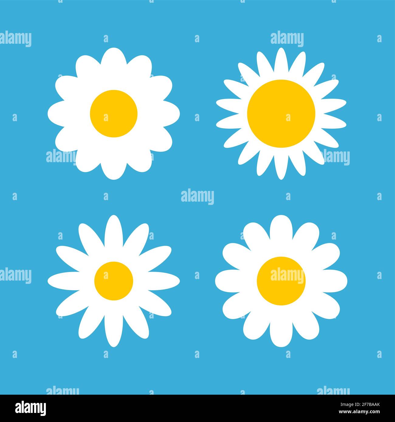 Daisy chamomile vector flower shape illustration icon. Camomile flower ...