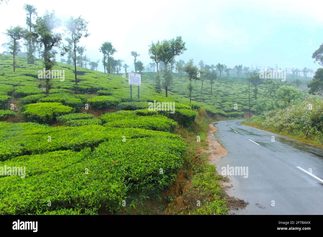 Pollachi hi-res stock photography and images - Alamy