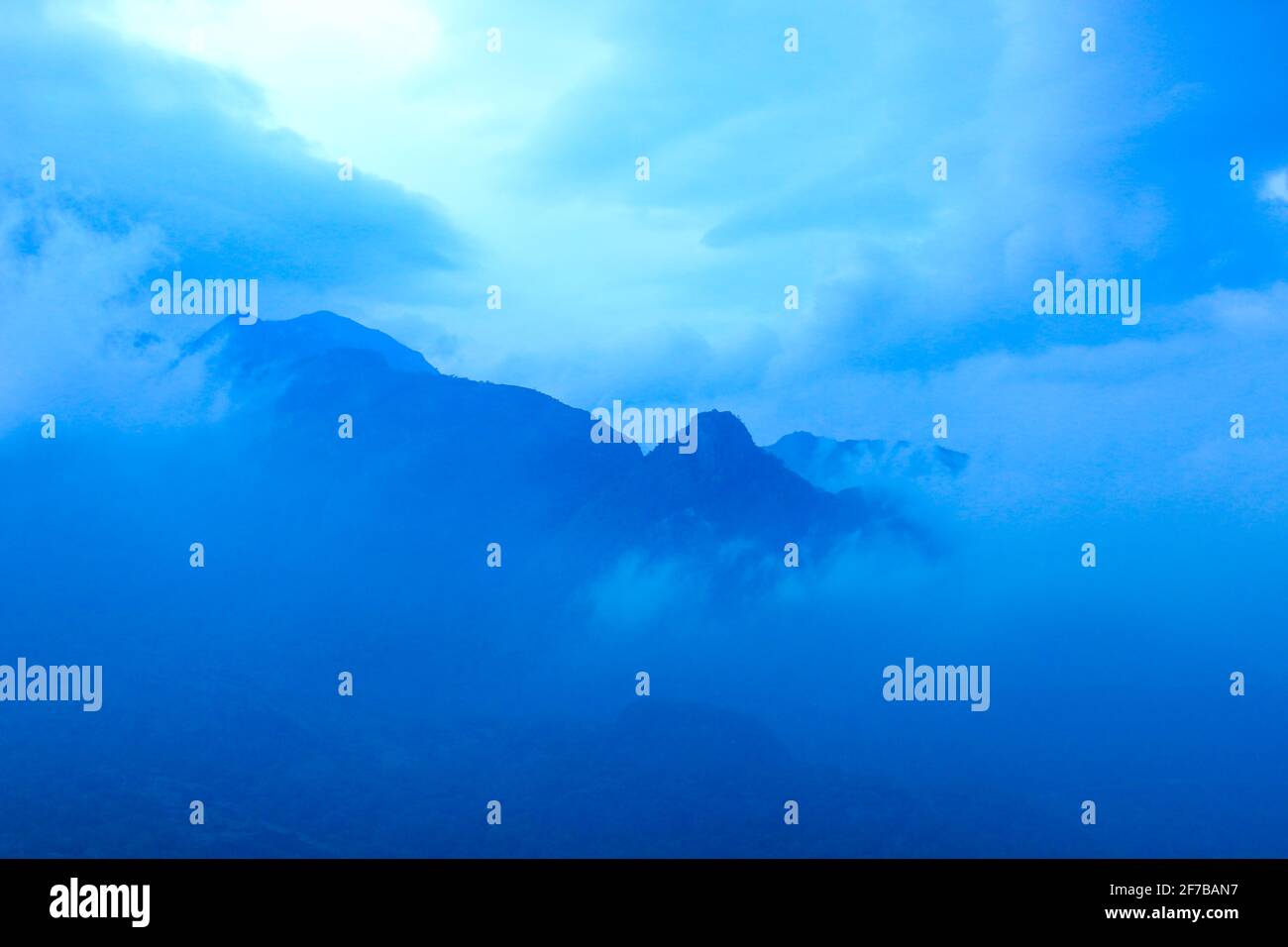 valparai to pollachi road Stock Photo - Alamy