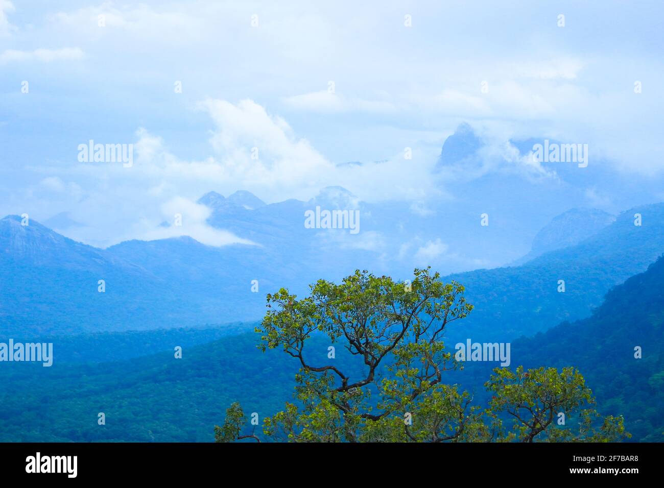 valparai to pollachi road Stock Photo - Alamy