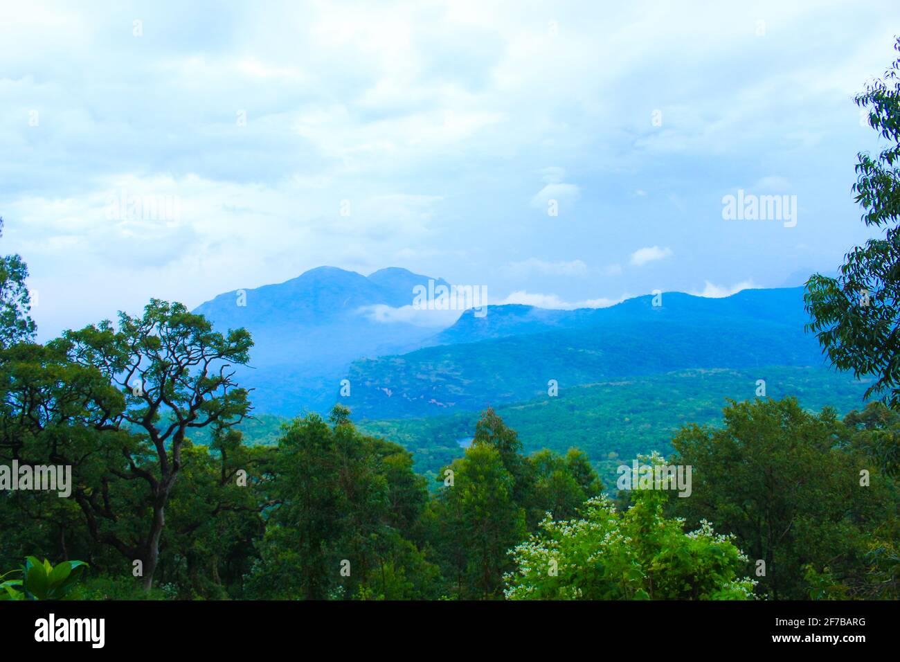 valparai to pollachi road Stock Photo - Alamy