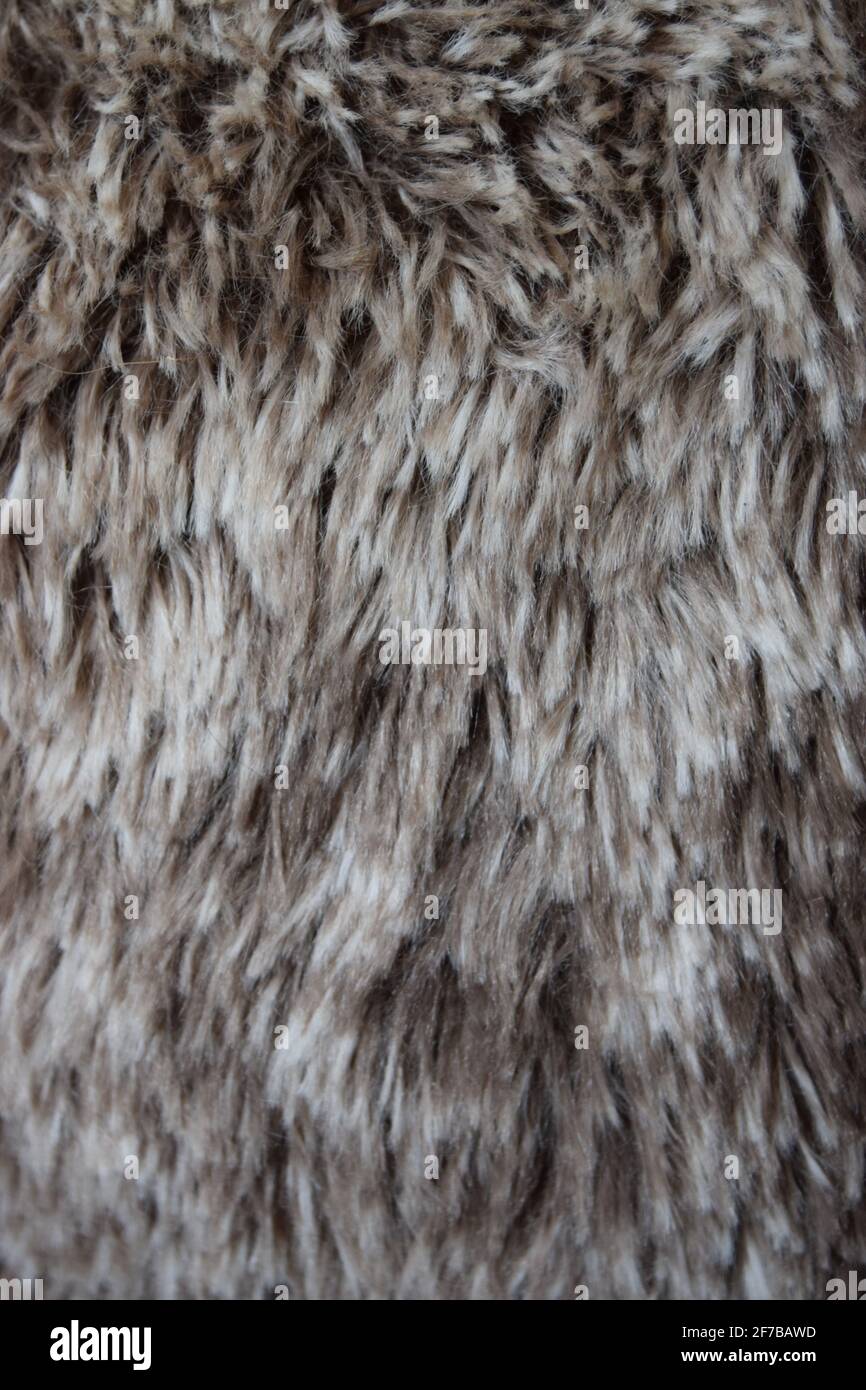 Tactile mottled fur hi-res stock photography and images - Alamy