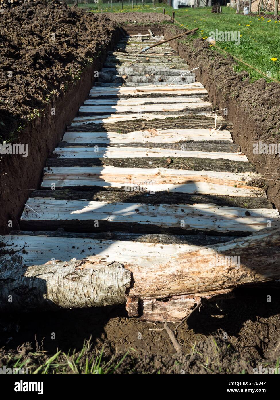 Vertical - Permaculture trench with half long logs of wood Stock Photo ...