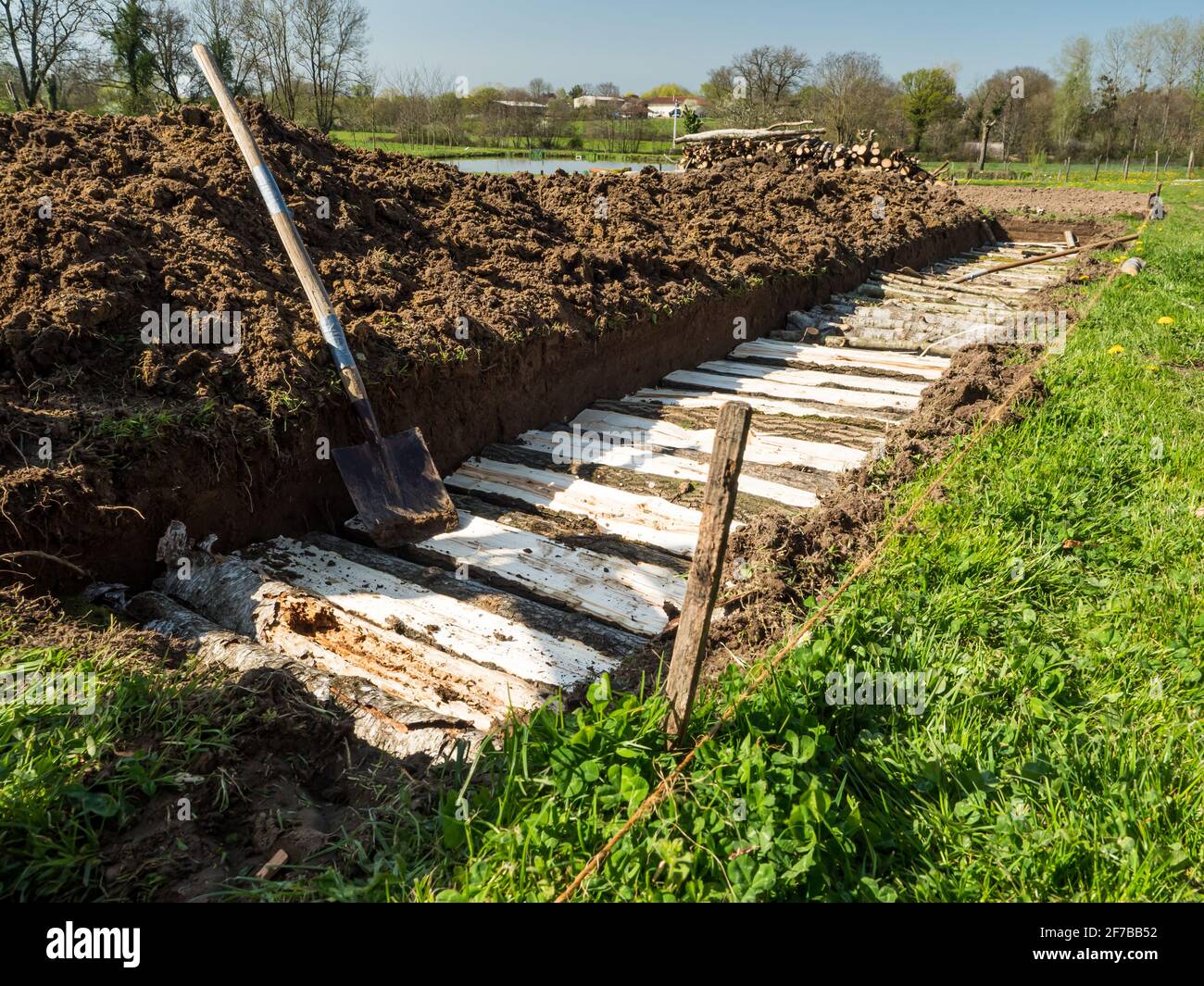 Permaculture trench construction with half long logs of wood Stock ...