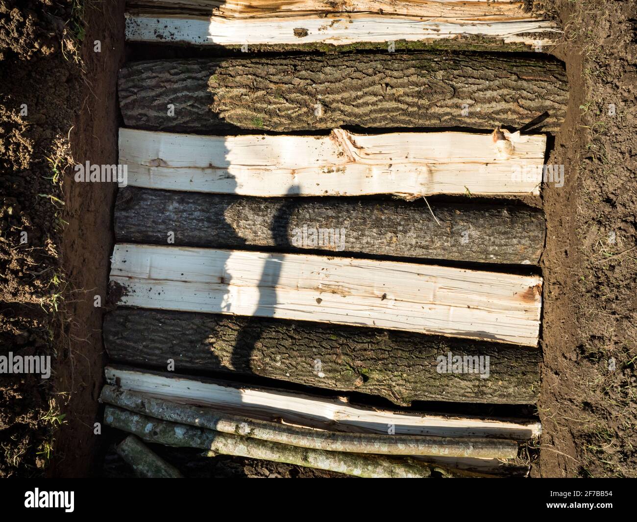 Top view of a Permaculture trench with half long logs of wood Stock ...