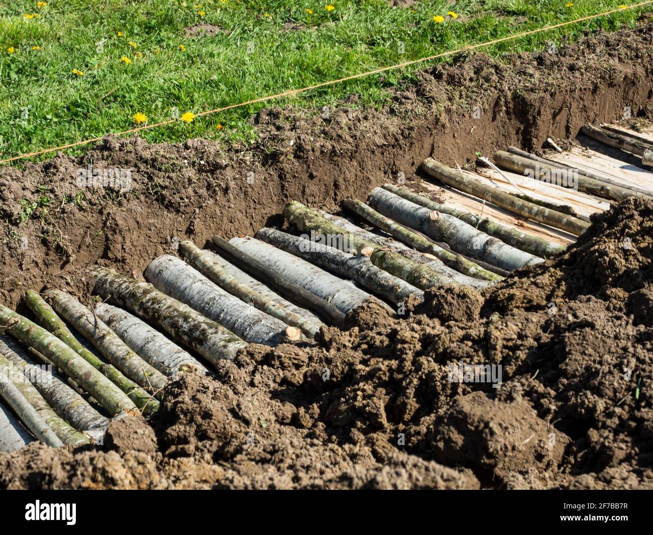 Permaculture trench construction with half long logs of wood with grass ...