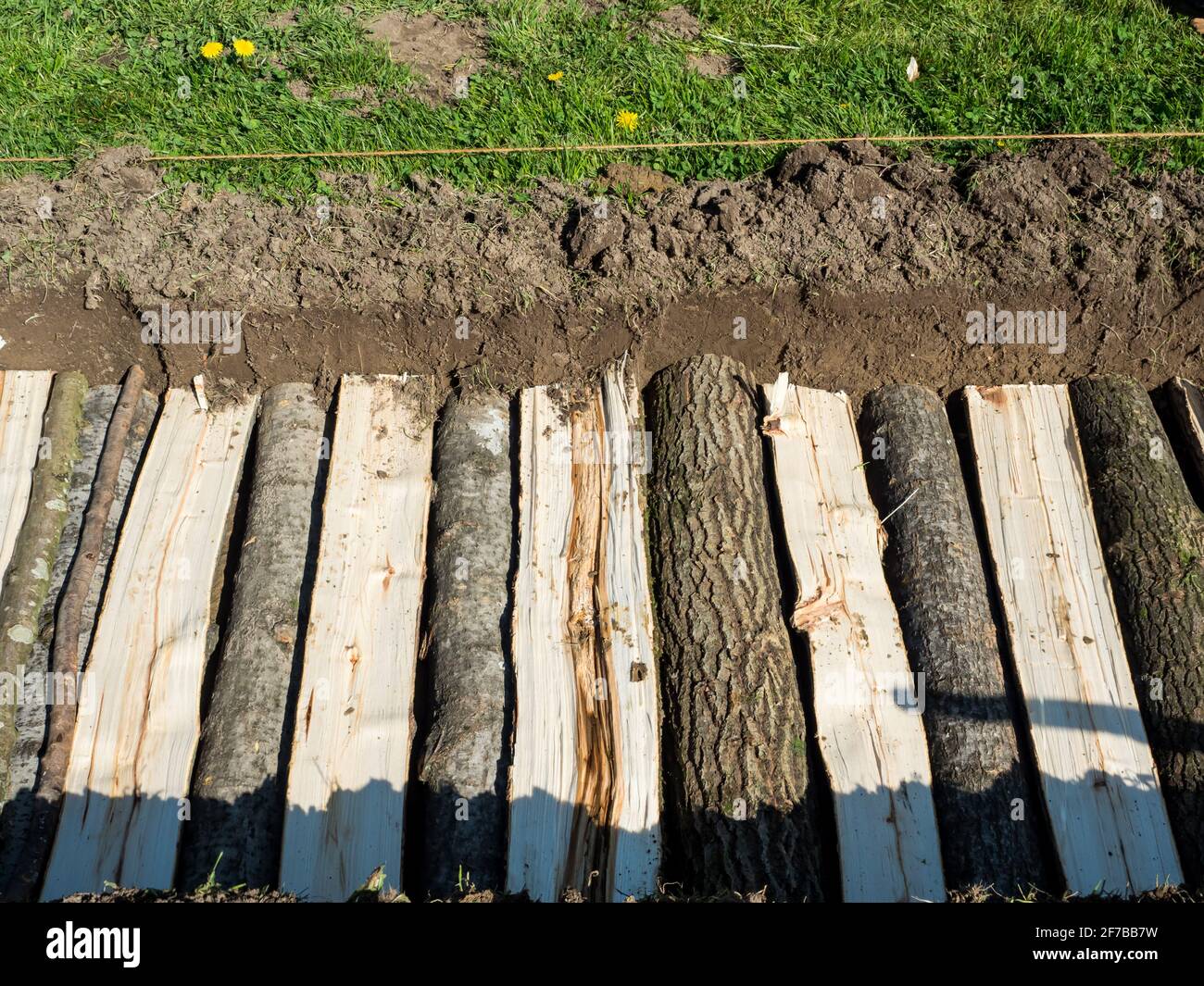 Permaculture trench side view of half long logs of wood with green ...