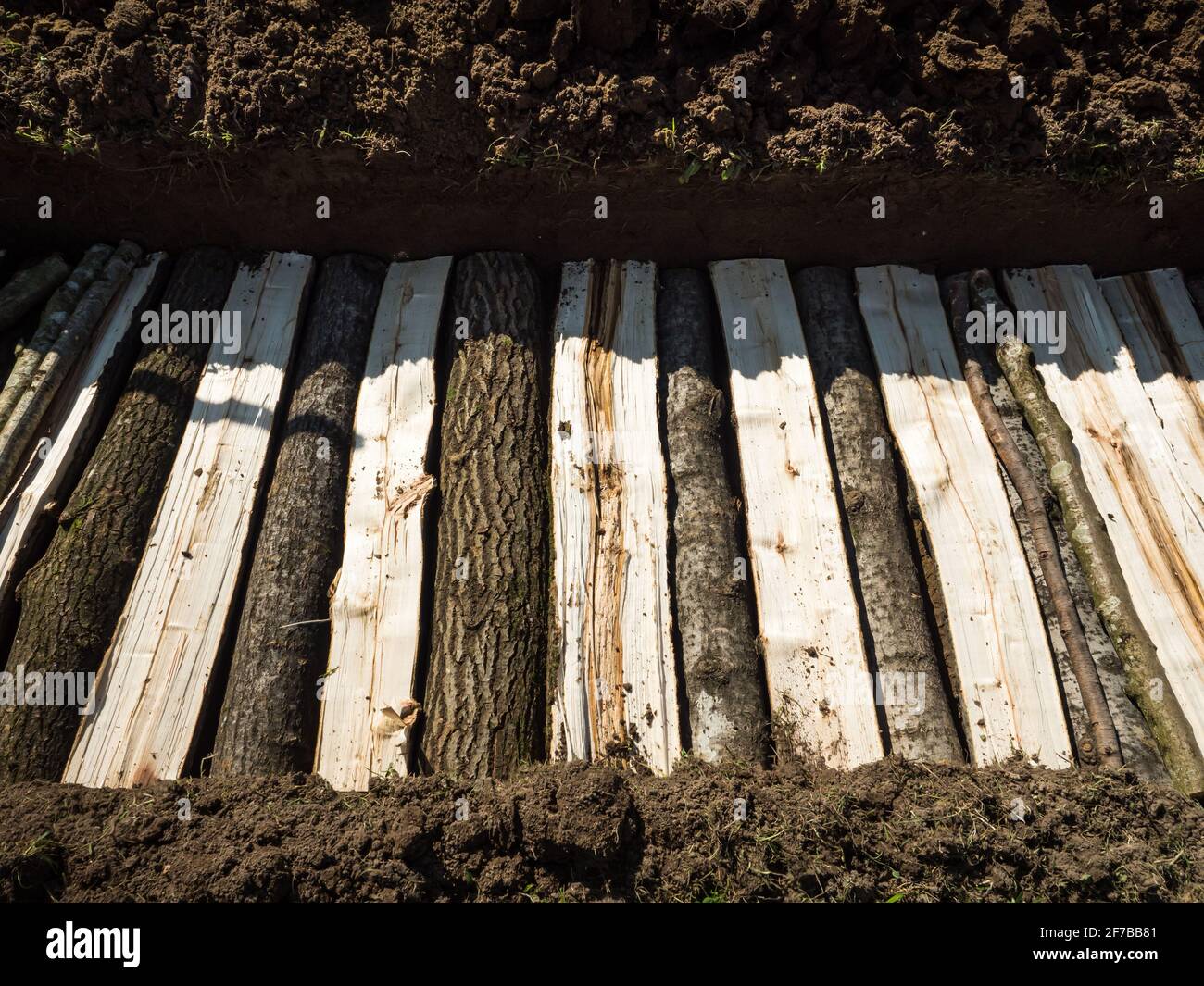 Permaculture trench side view of half long logs of wood Stock Photo - Alamy