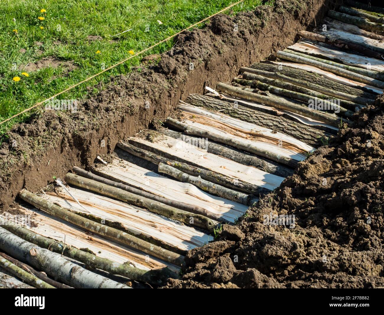 Permaculture trench construction with logs of wood with grass side ...