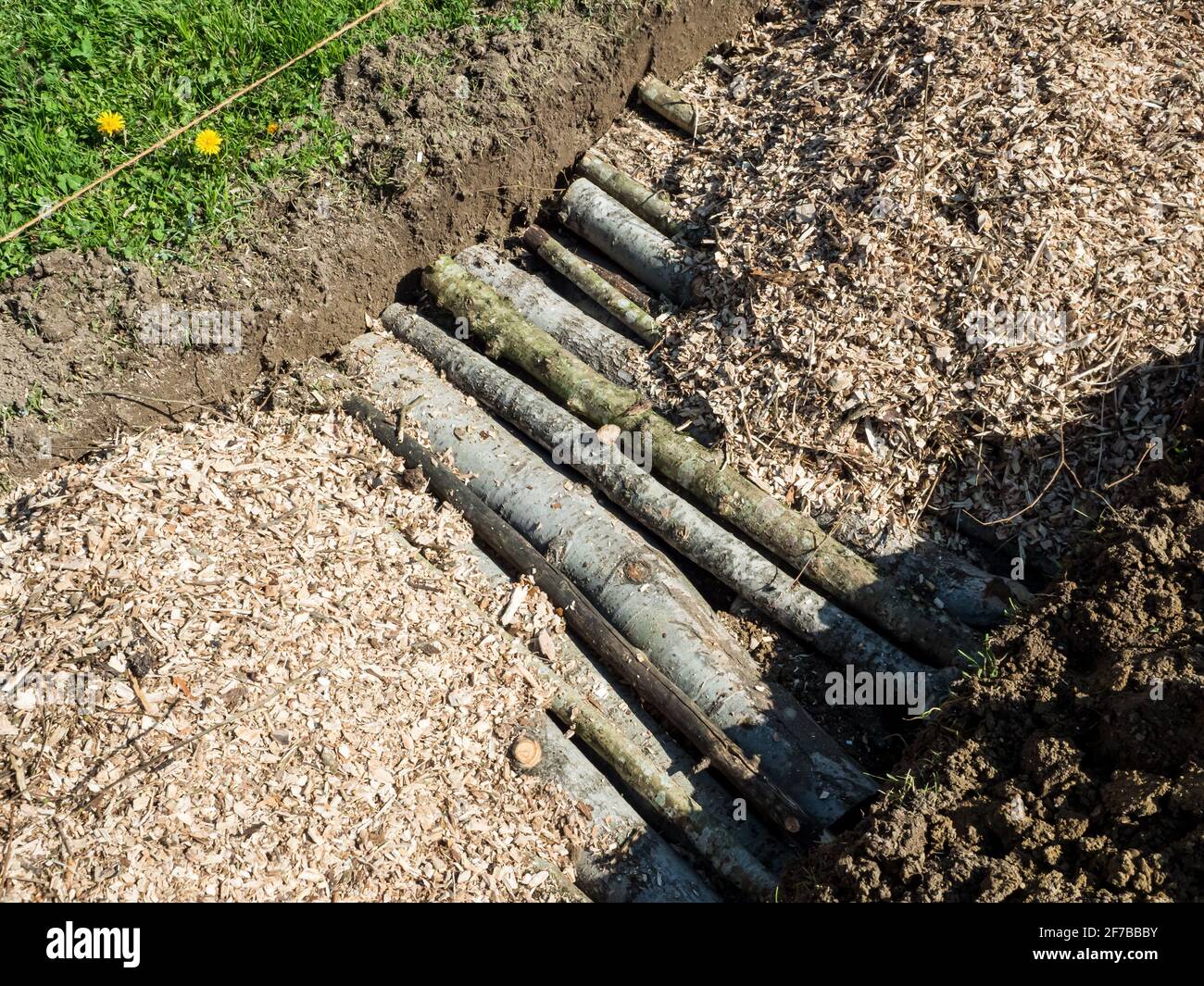Top view of permaculture trench with wood logs and shredded wood Stock ...