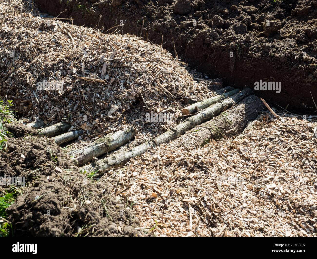 Permaculture trench with wood logs and shredded wood on top Stock Photo ...