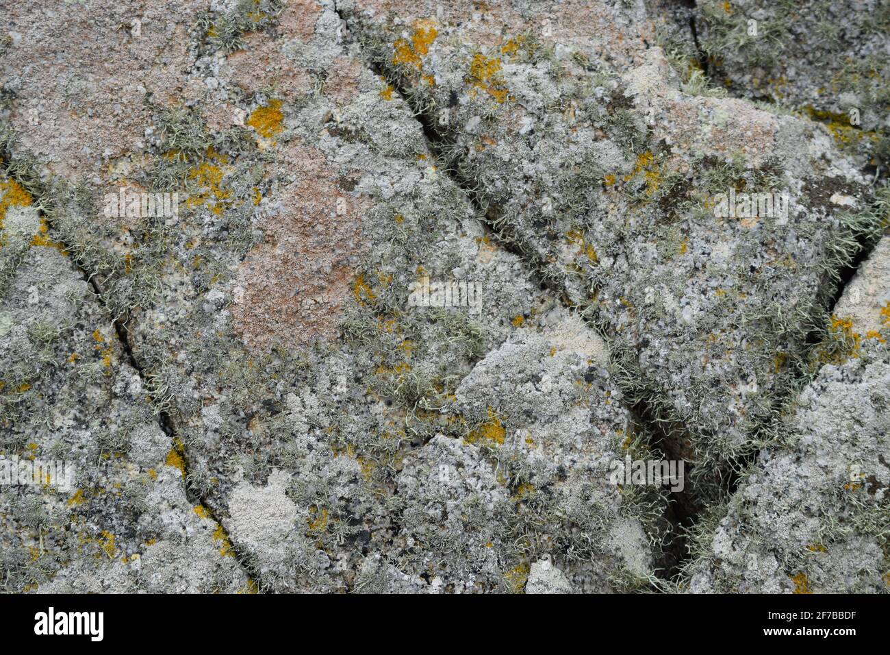 Cracks in rock hi-res stock photography and images - Alamy