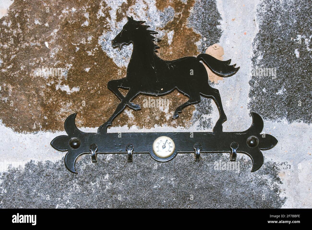 Abstract black silhouette of horse hi-res stock photography and images ...