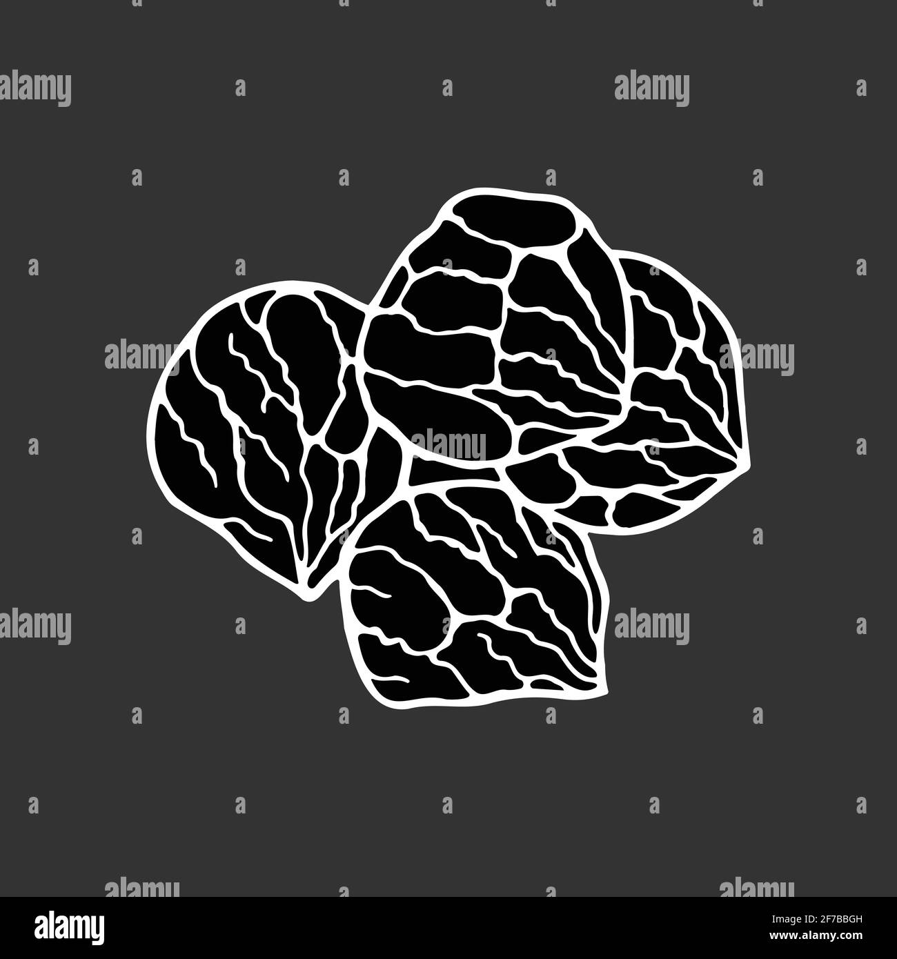 Vector hand-drawn marron glace. Spanish dessert. Design sketch element ...