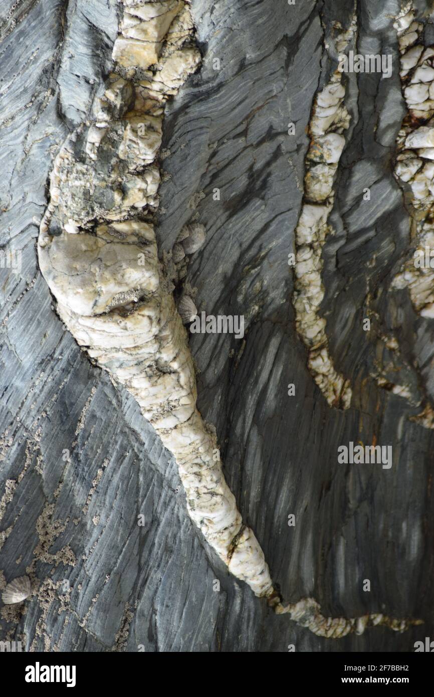 Veined Rock High Resolution Stock Photography and Images - Alamy