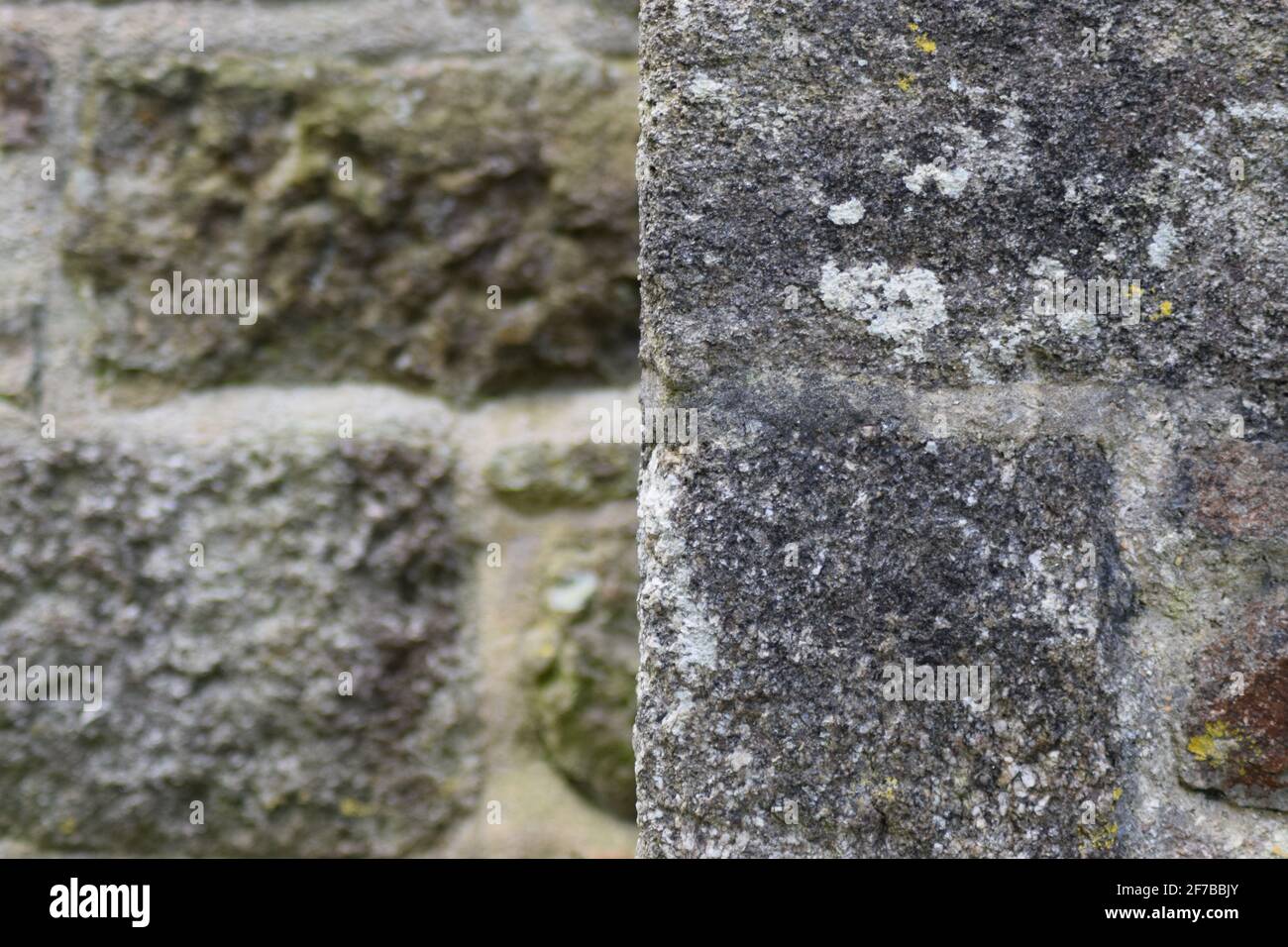 Two tone walls hi-res stock photography and images - Alamy