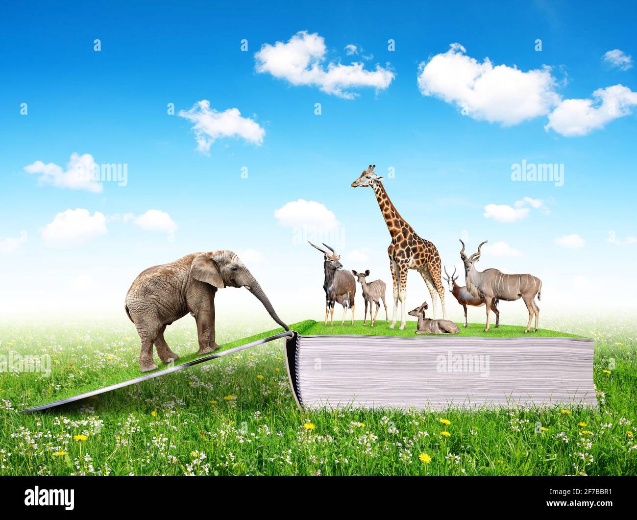 Open book of nature with animals on meadow Stock Photo - Alamy