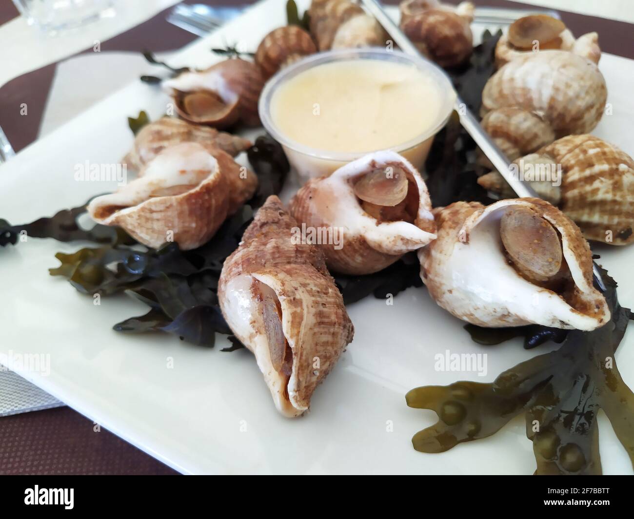 Whelk pot hi-res stock photography and images - Alamy