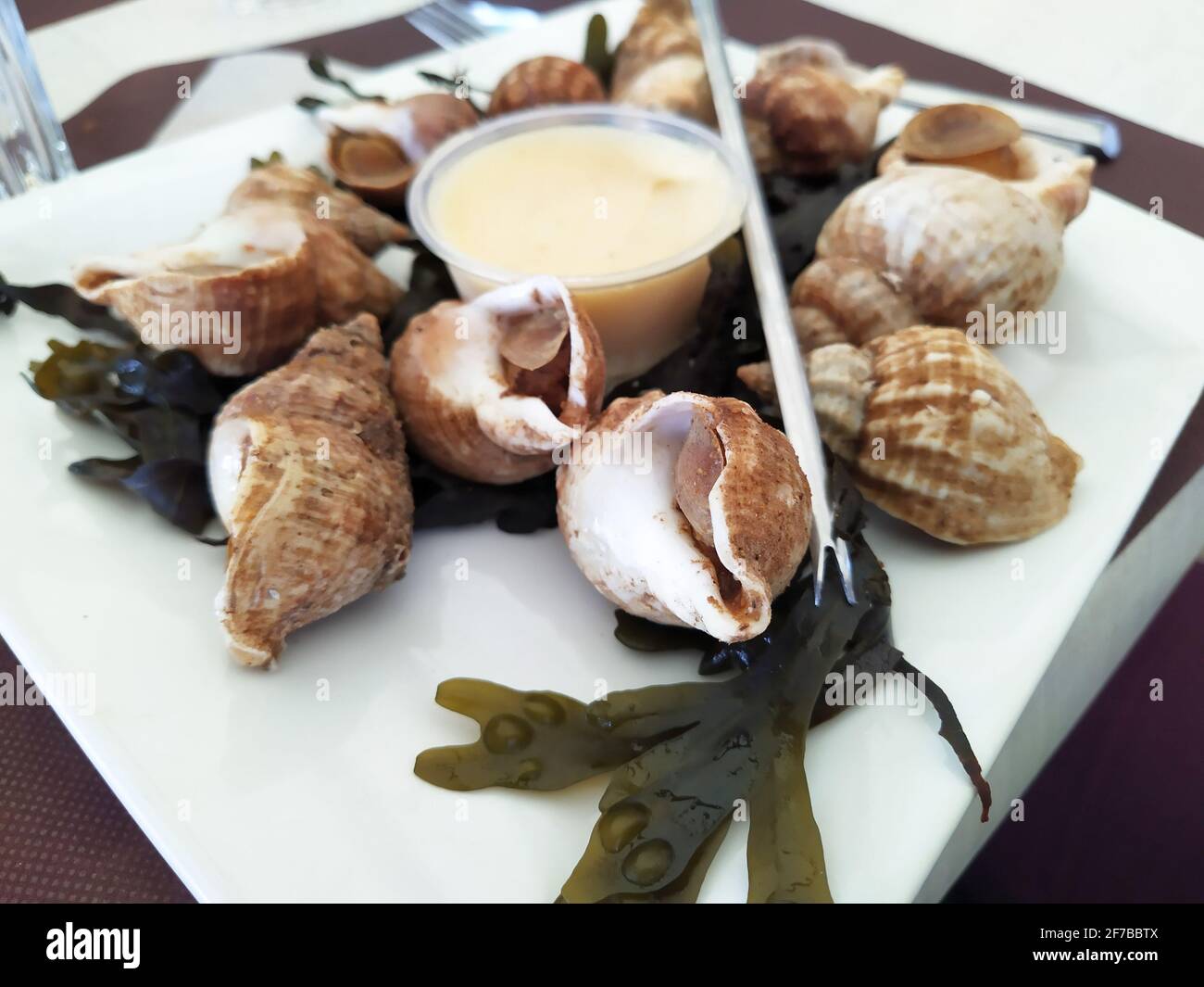 plate of whelk Stock Photo - Alamy