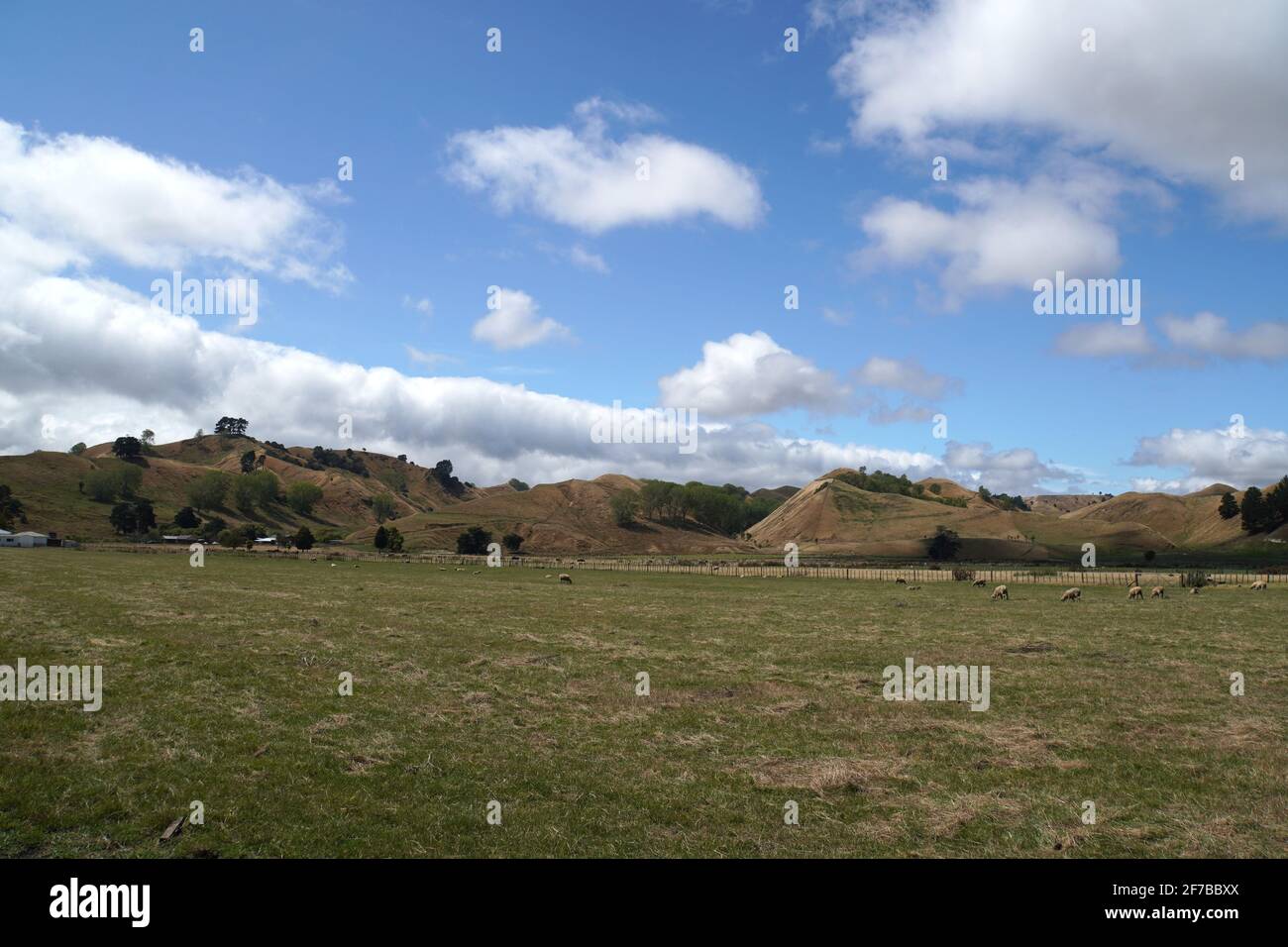 New Zealand, Northern Island Stock Photo - Alamy