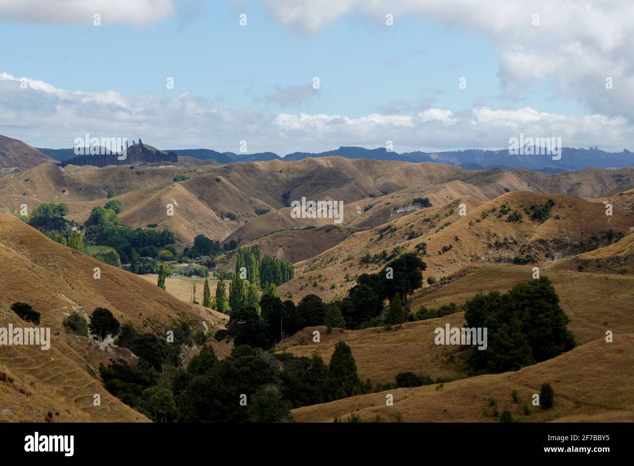 New Zealand, Northern Island Stock Photo - Alamy