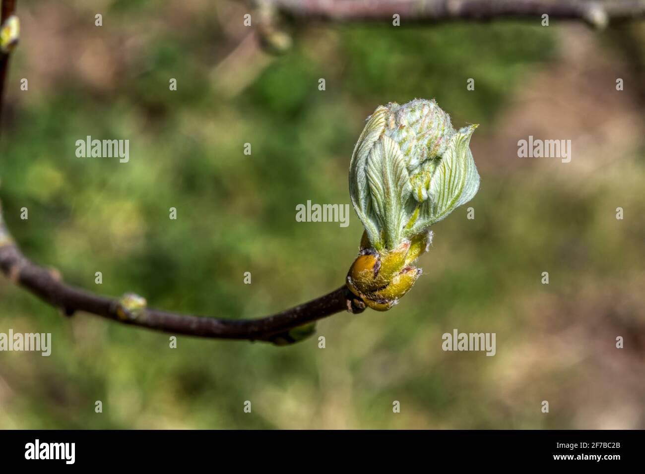 Signs of spring hi-res stock photography and images - Alamy