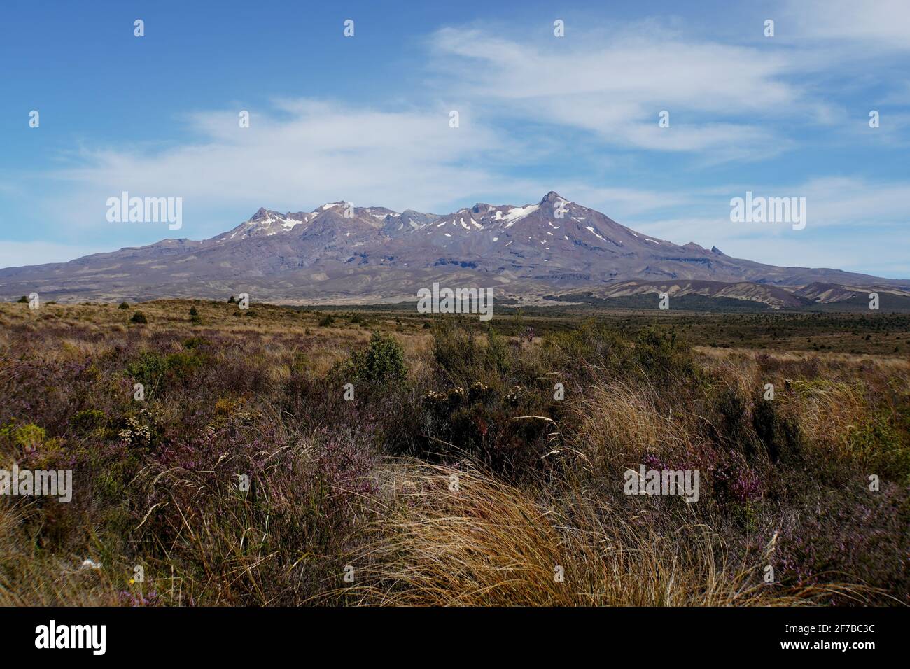 New Zealand, Northern Island Stock Photo - Alamy