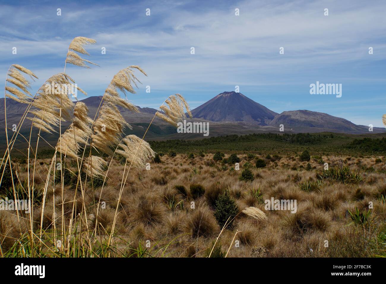 New Zealand, Northern Island Stock Photo - Alamy