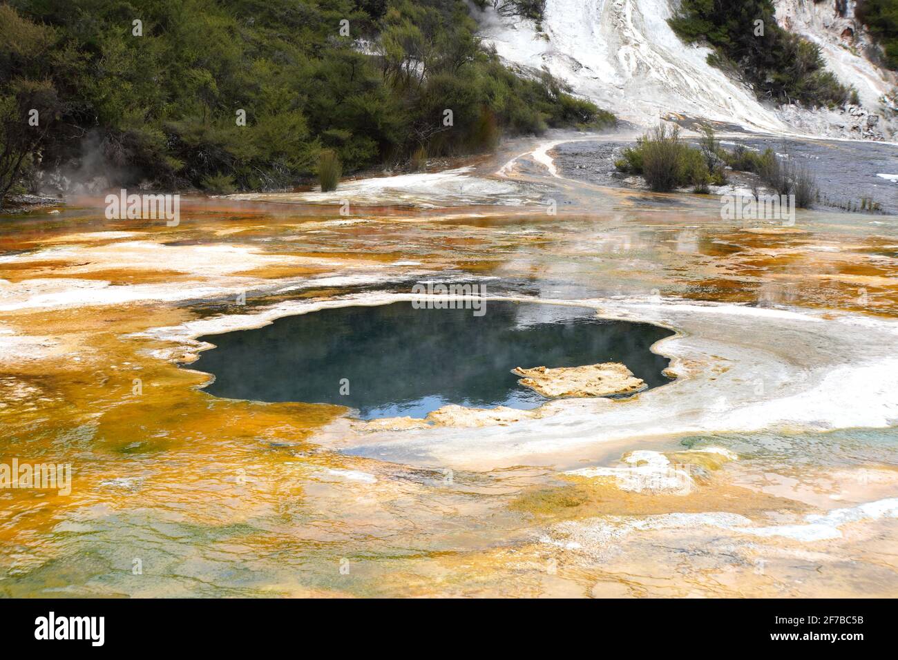 New Zealand, Northern Island Stock Photo - Alamy