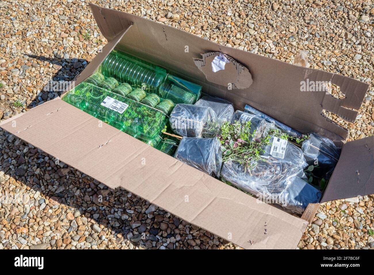 Spring plants containers hi-res stock photography and images - Alamy
