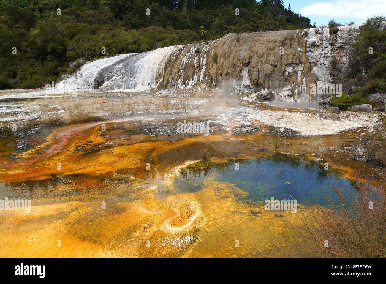 New Zealand, Northern Island Stock Photo - Alamy