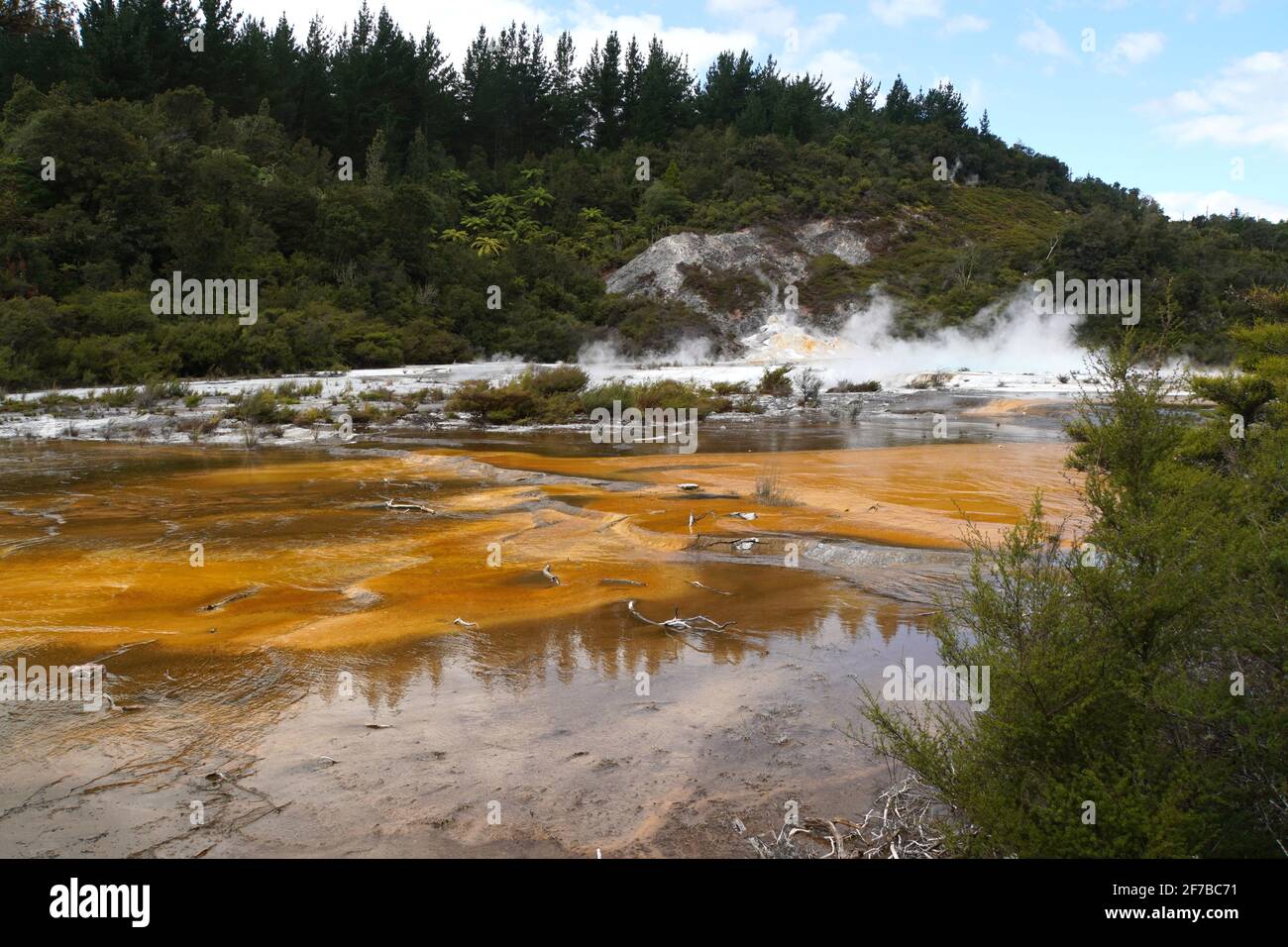 New Zealand, Northern Island Stock Photo - Alamy