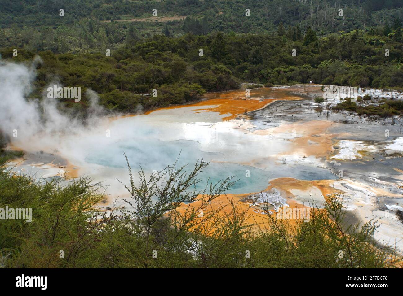 New Zealand, Northern Island Stock Photo - Alamy