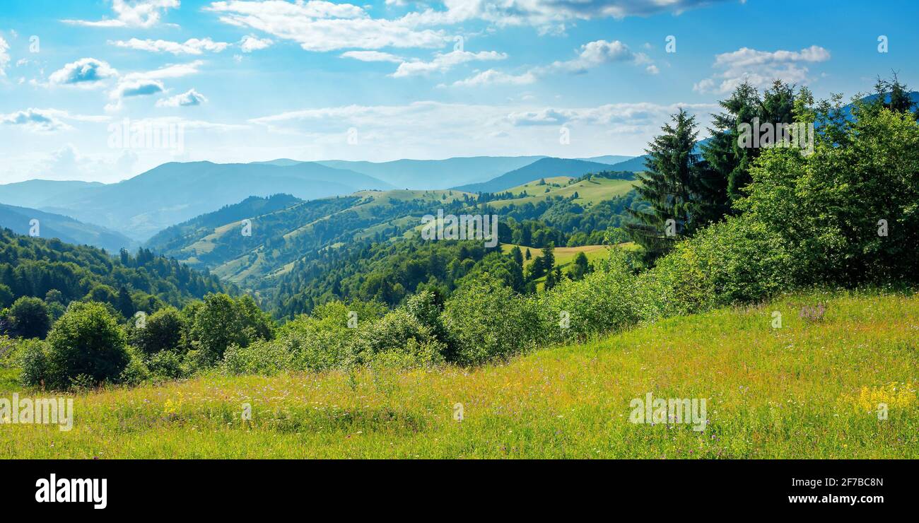 countryside landscape in summer. beautiful nature scenery with meadows ...