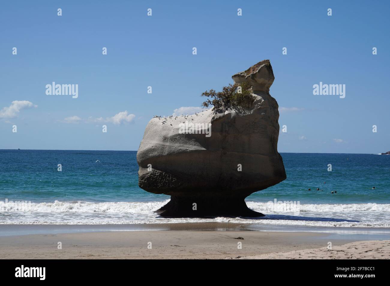 New Zealand, Northern Island Stock Photo - Alamy