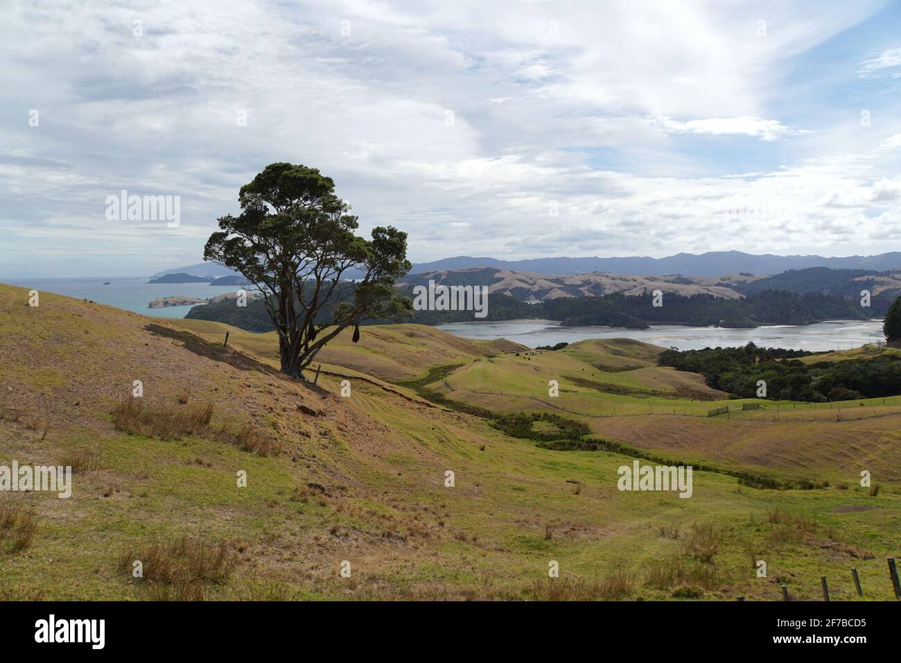 New Zealand, Northern Island Stock Photo - Alamy