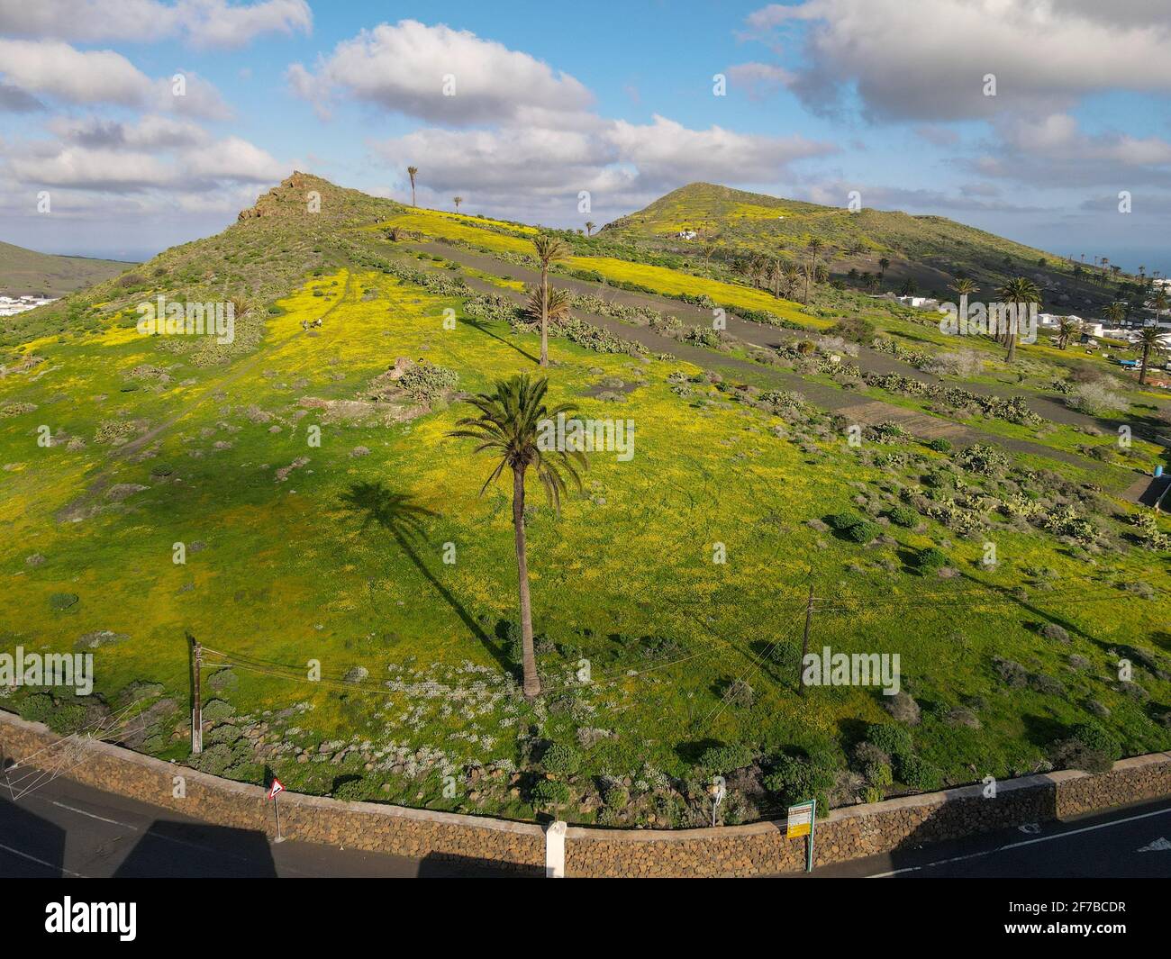 Landscape near Haria at Lanzarote on Canary island in Spain Stock Photo ...