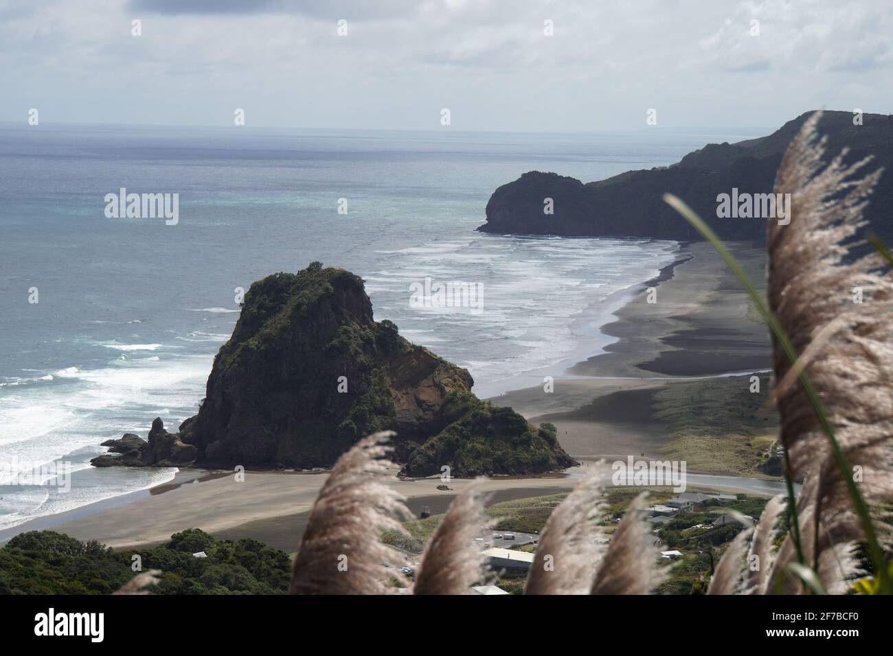 New Zealand, Northern Island Stock Photo - Alamy