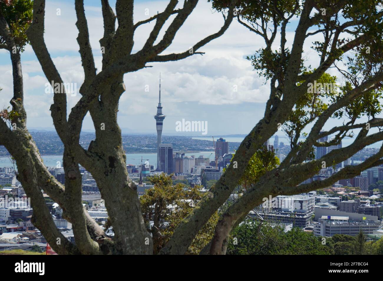 New Zealand, Northern Island Stock Photo - Alamy