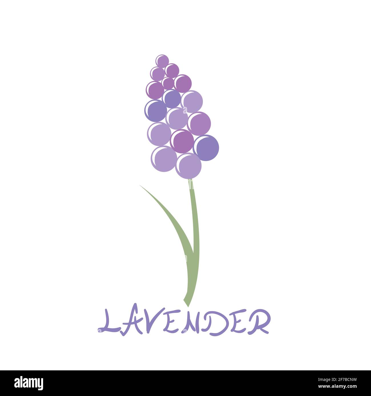 Stylized lavender icon on white background Stock Vector Image & Art - Alamy