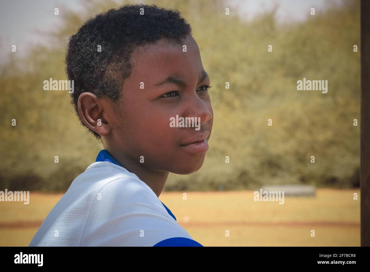 souk okaz festival taif saudi arabia Stock Photo - Alamy