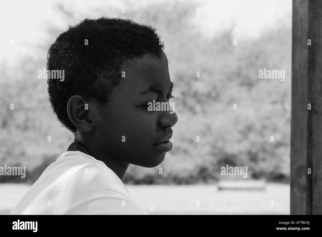 souk okaz festival taif saudi arabia Stock Photo - Alamy