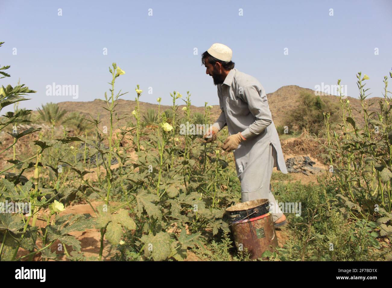 natural valley rural life in saudi arabia Stock Photo - Alamy