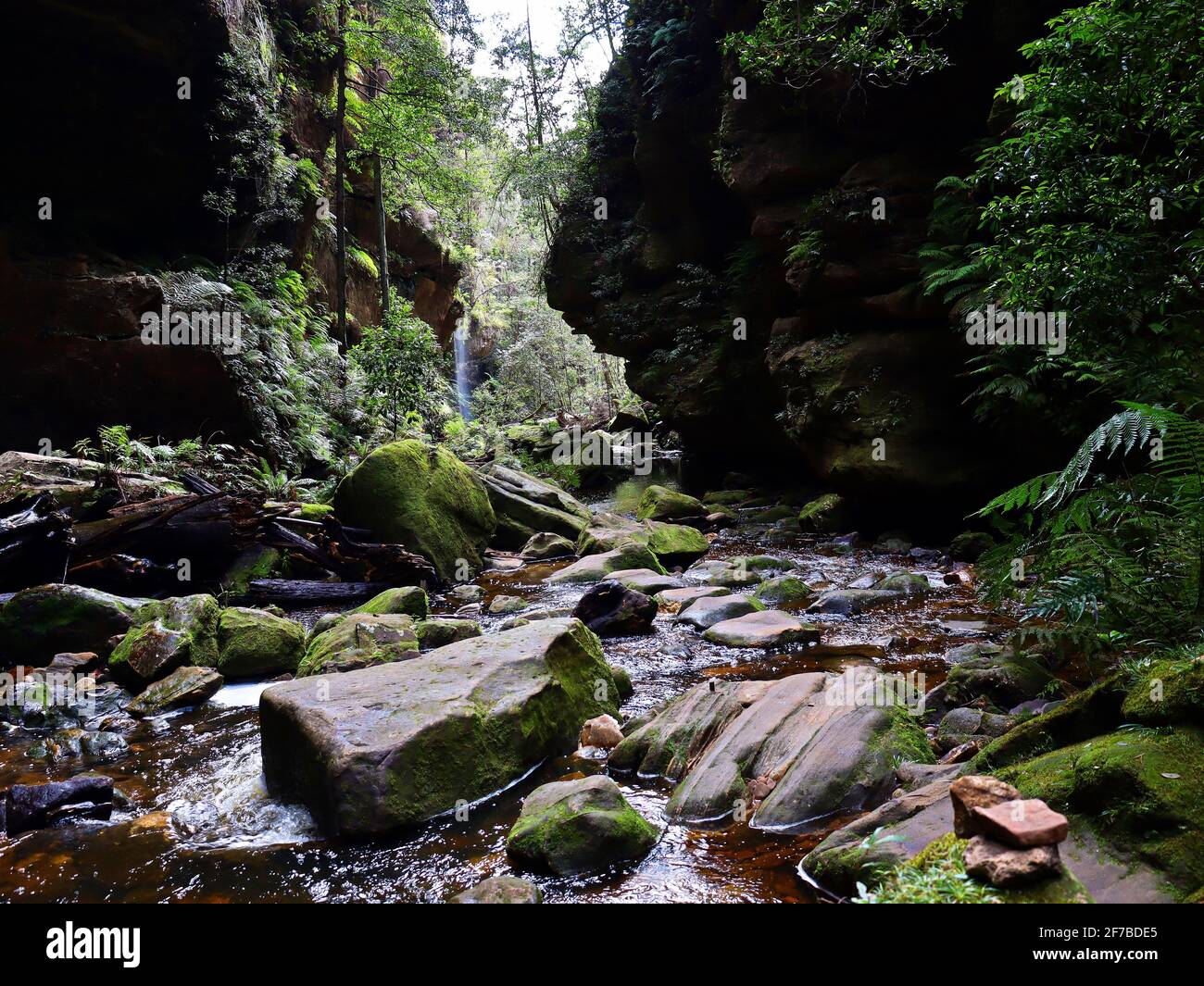 Bushwalk hi-res stock photography and images - Alamy