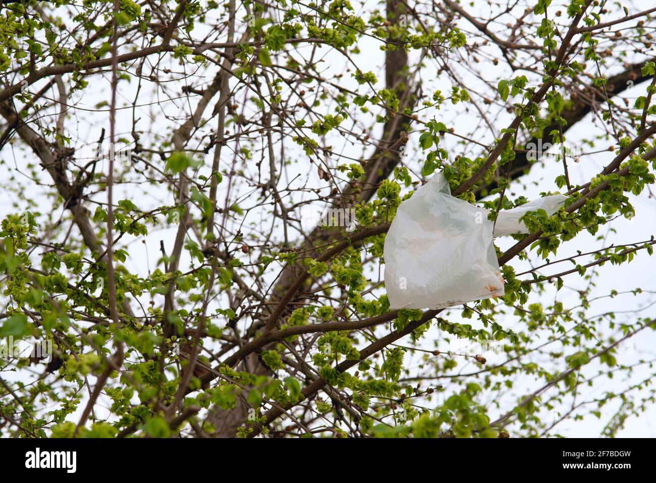 Tangled up hi-res stock photography and images - Alamy