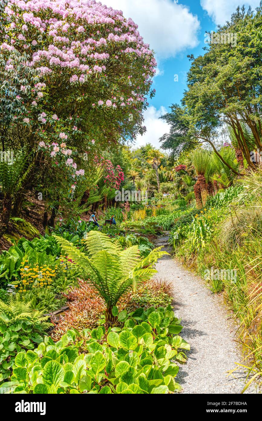 Subtropical Cascade Water Garden at the center of Trebah Garden ...
