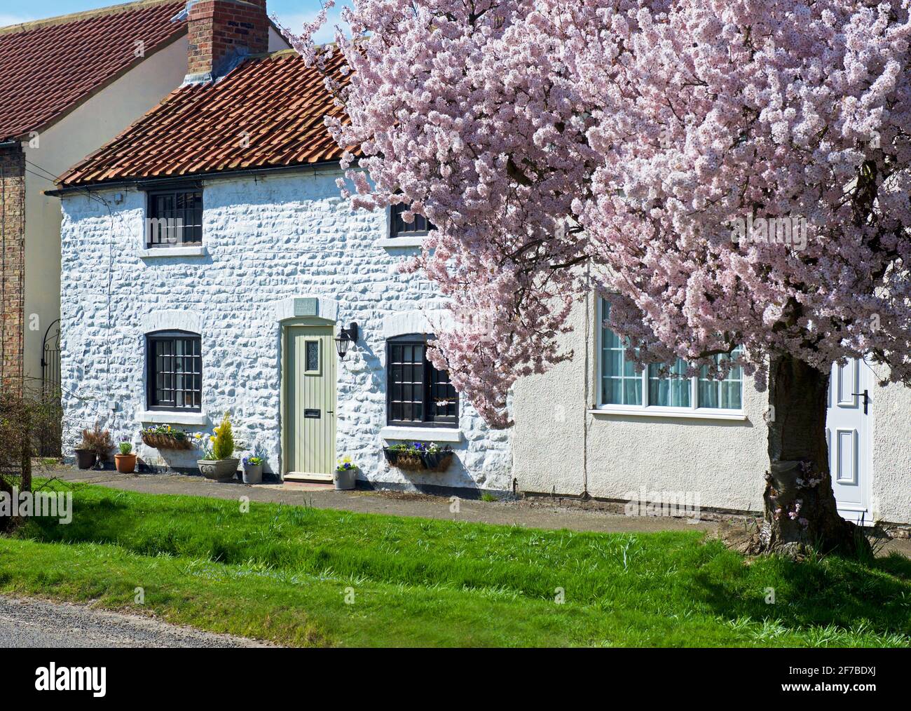 Cottages in the village of West Lutton, North Yorkshire, England UK ...