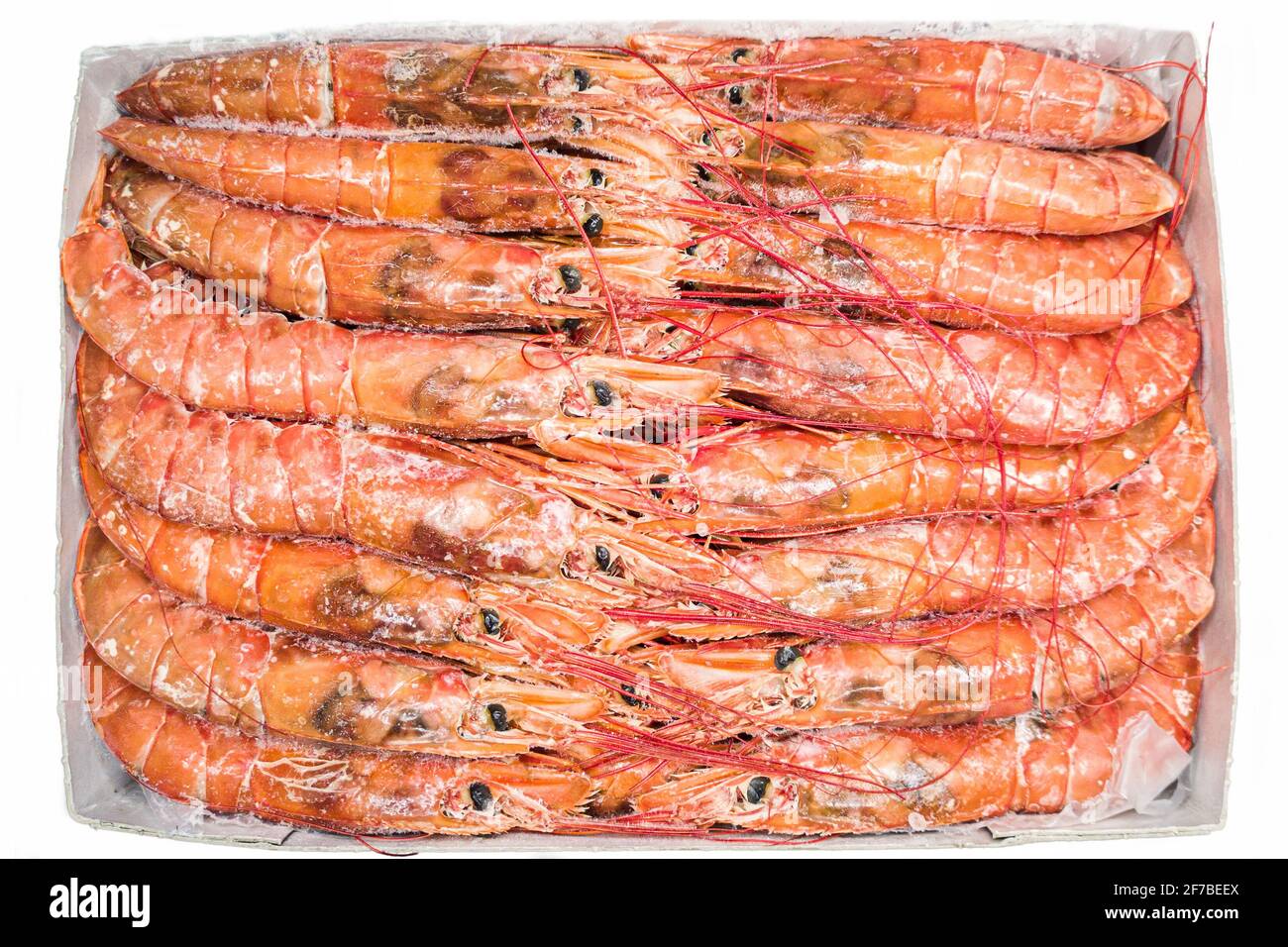 Large frozen langoustine prawns in a package. Seafood healthy Stock ...