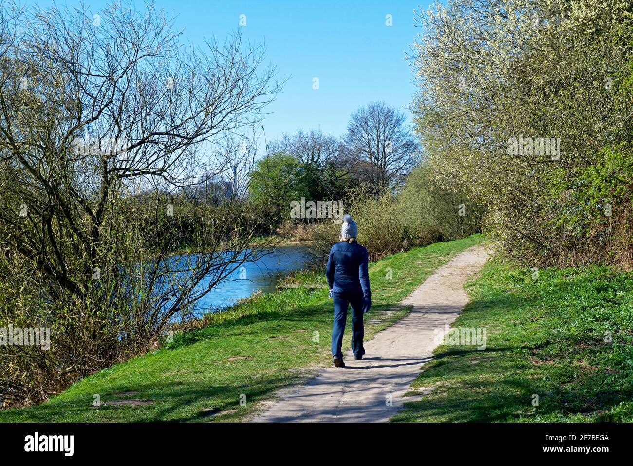 Young woman walking next to the Selby Canal near Brayton, North ...