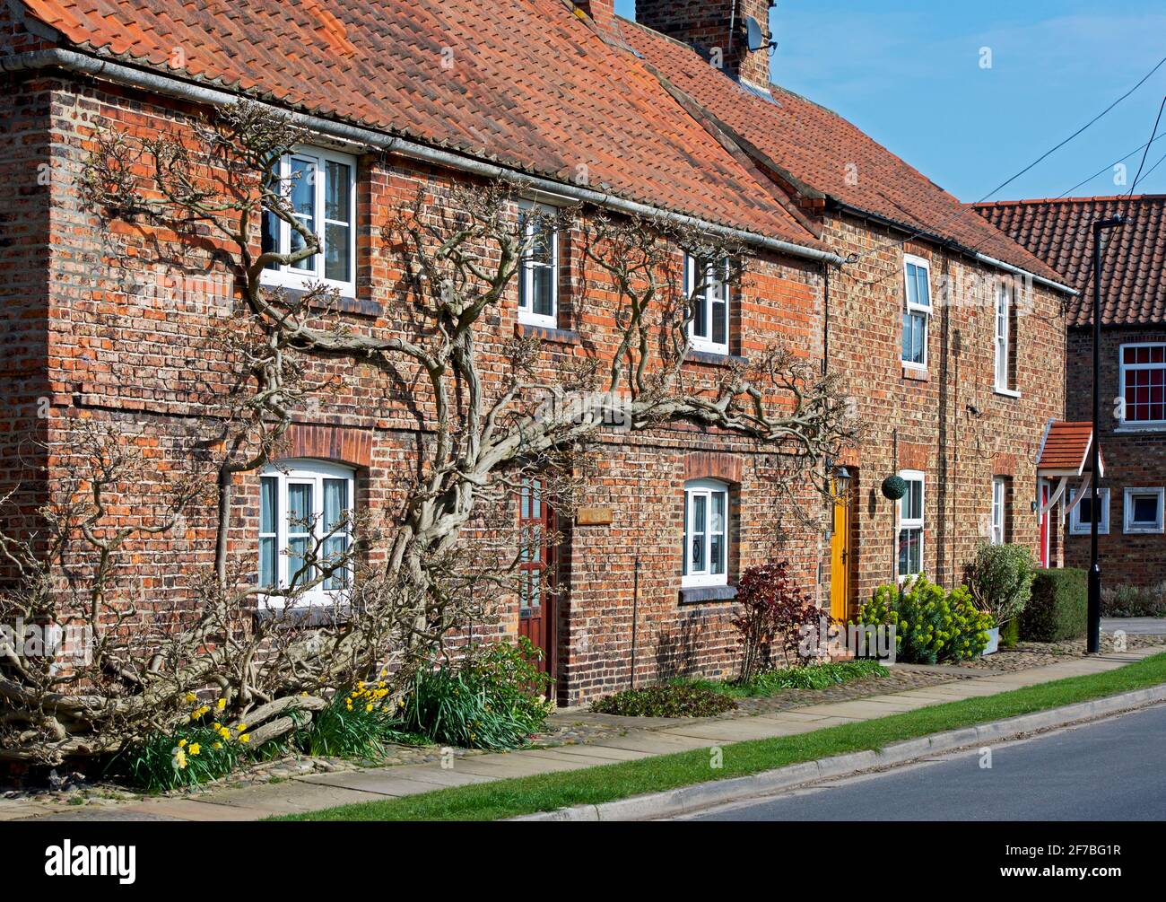 Wheldrake hi-res stock photography and images - Alamy